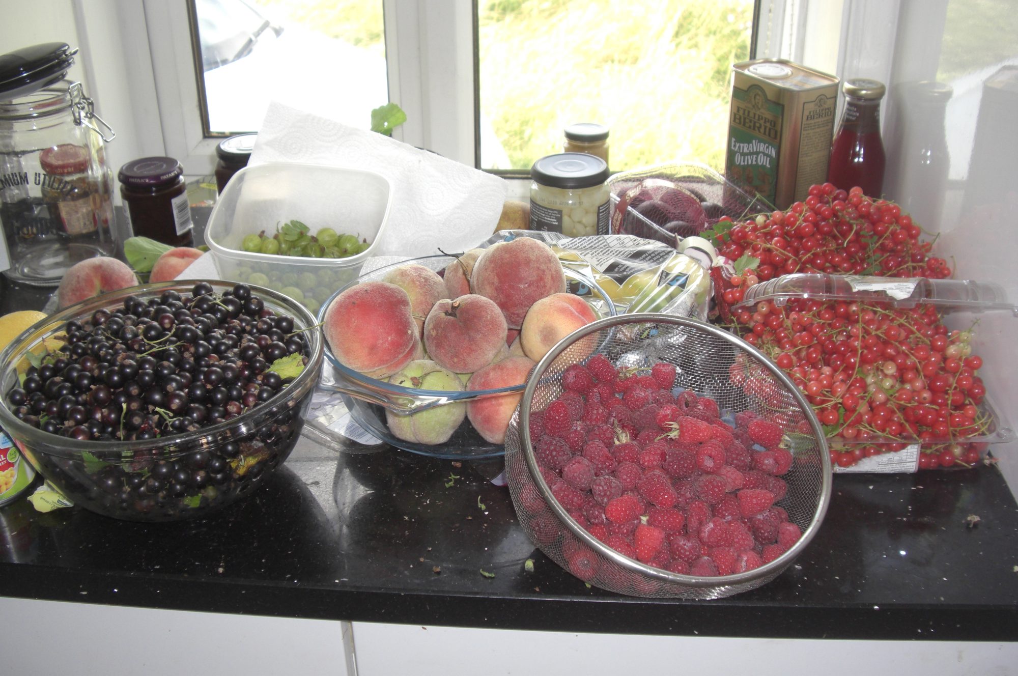 Preserving and Drying – universeofplants.com